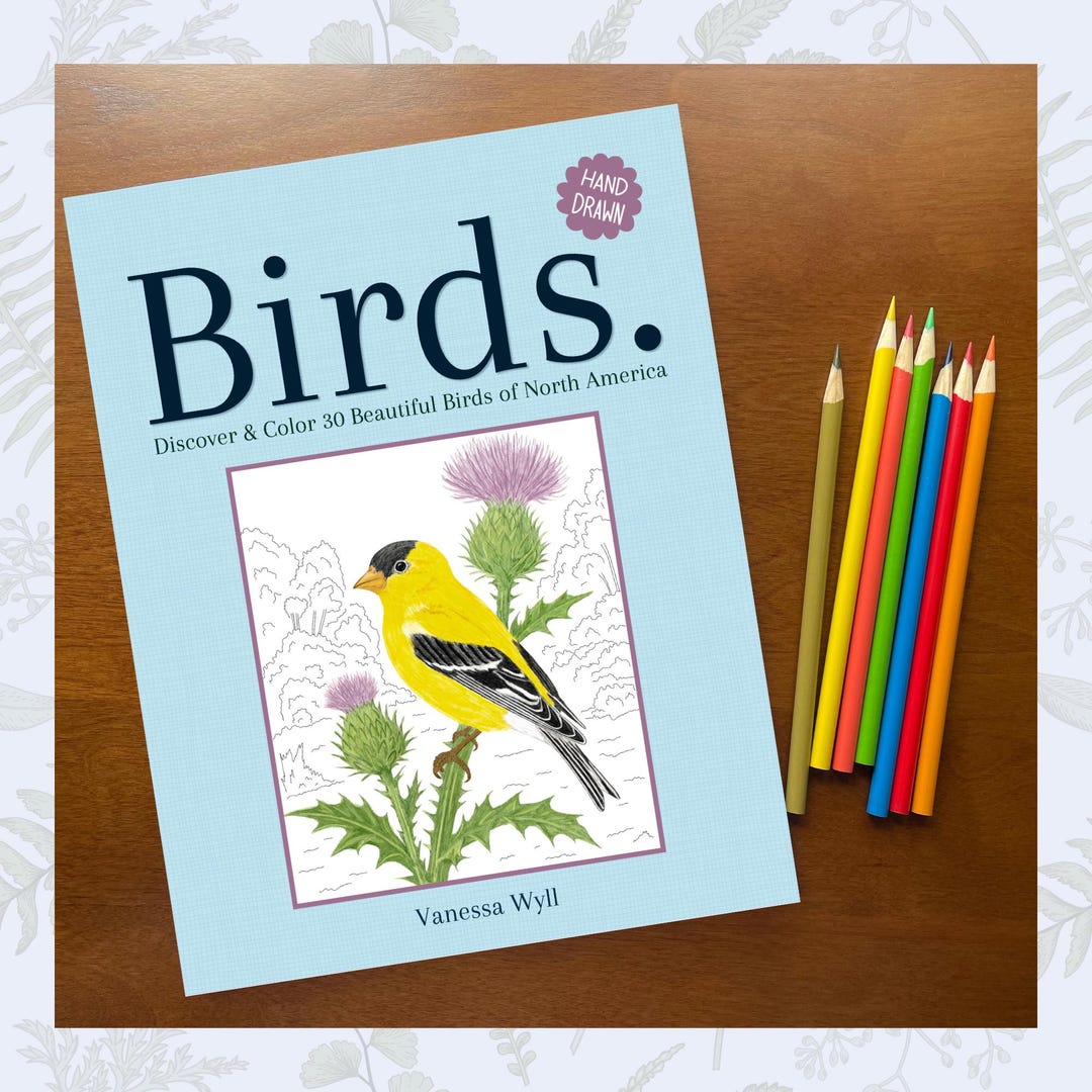 Birds. A Field-guide Style Coloring Book – Discover & Color 30 ...
