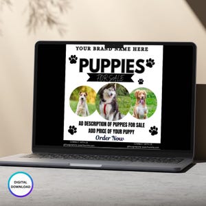 PUPPIES FOR SALE Flyer Template, Editable Pet Adoption Flyer, Puppy ...