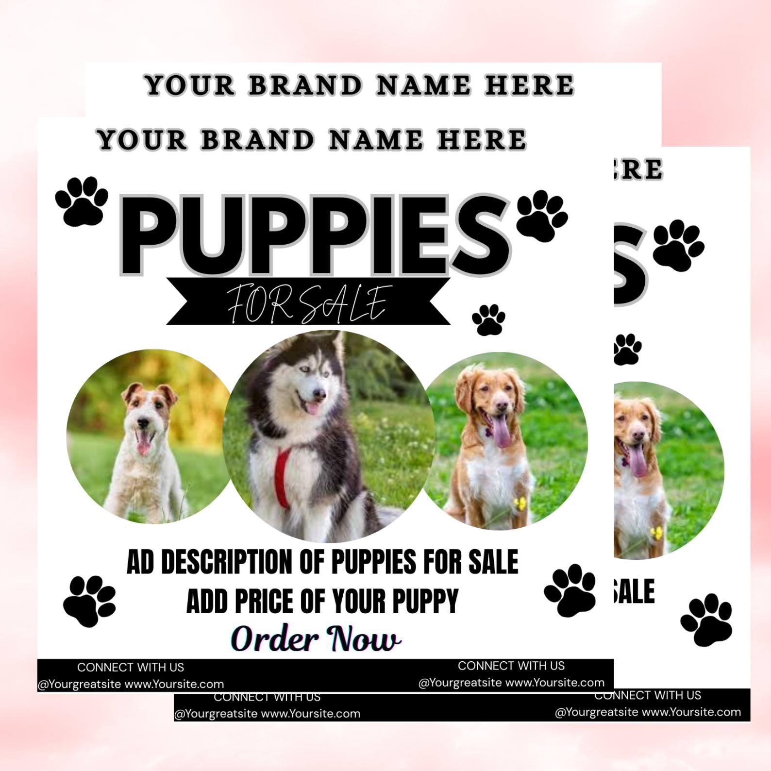 PUPPIES FOR SALE Flyer Template, Editable Pet Adoption Flyer, Puppy ...