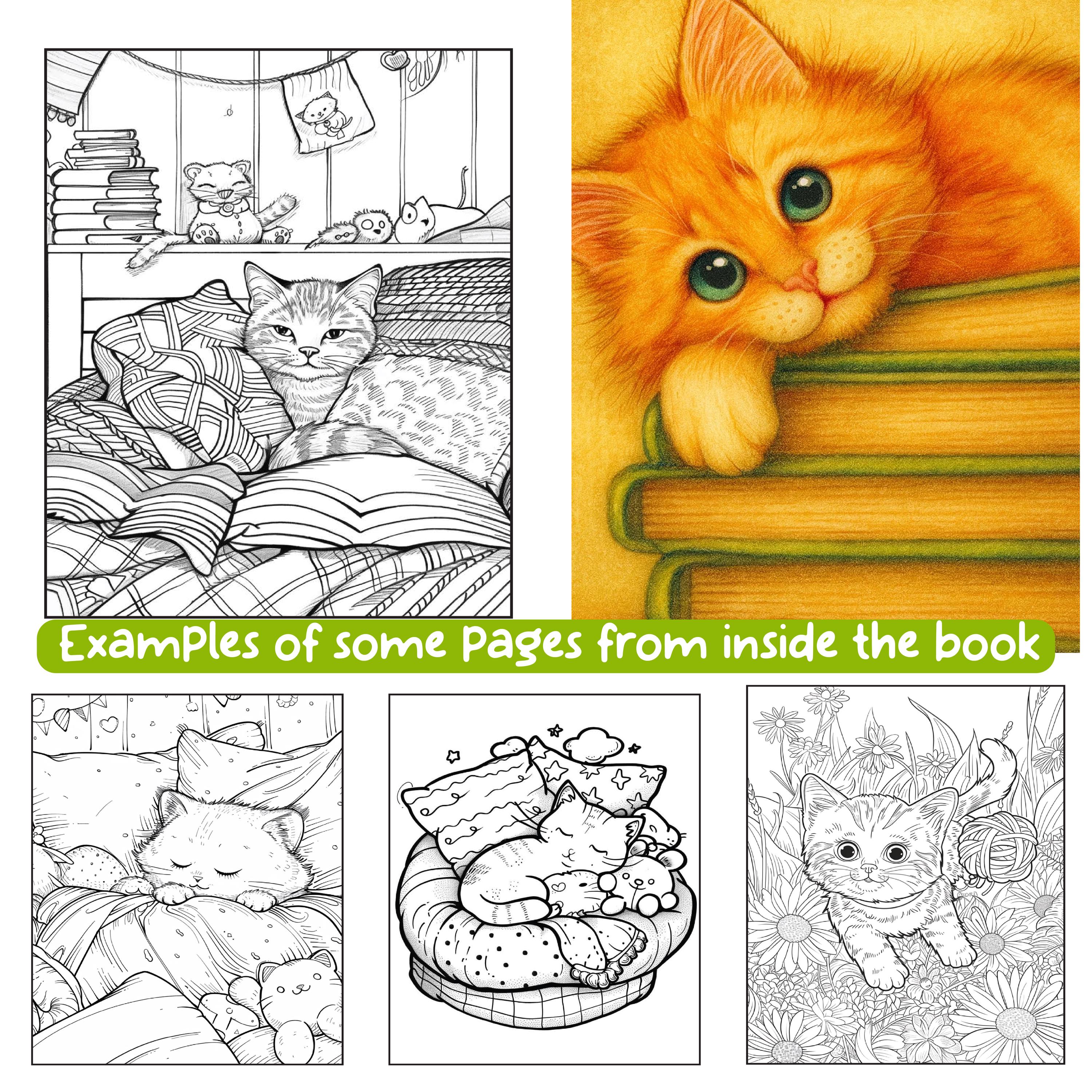 20 Cute Cats Coloring Book PDF | Printable Cat Coloring Pages for Kids ...
