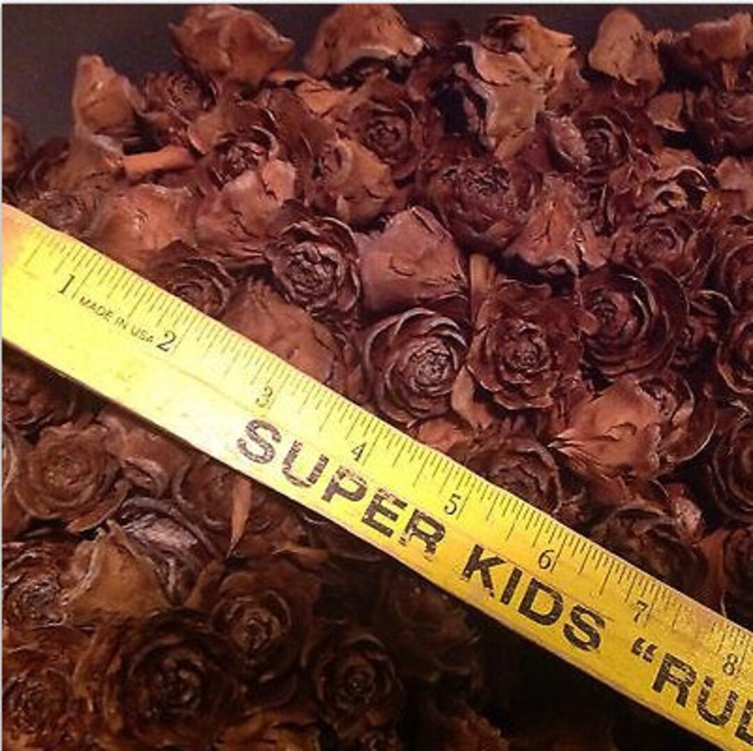 100 Tiny Cedar Roses - Wooden Roses - Deodar Cedar Pine Cone - Etsy