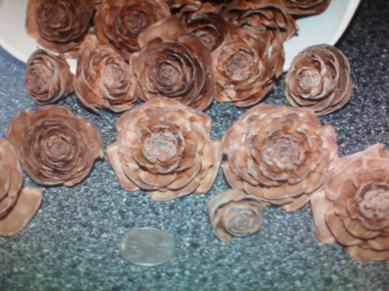 100 Cedar Roses - Wooden Roses - Deodar Cedar Pine Cone - Etsy