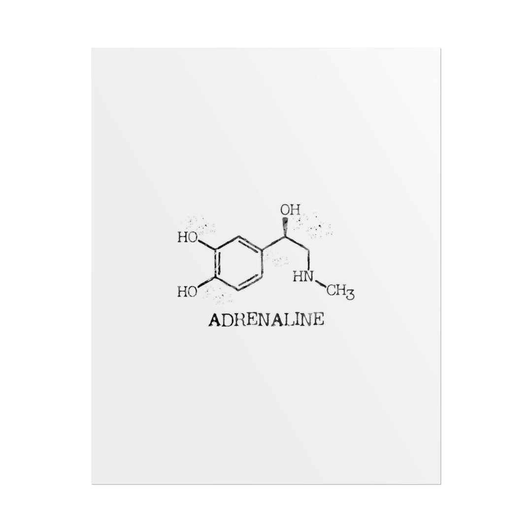 Adrenaline Molecule Art Print, Science Poster, Chemistry Wall Decor - Etsy