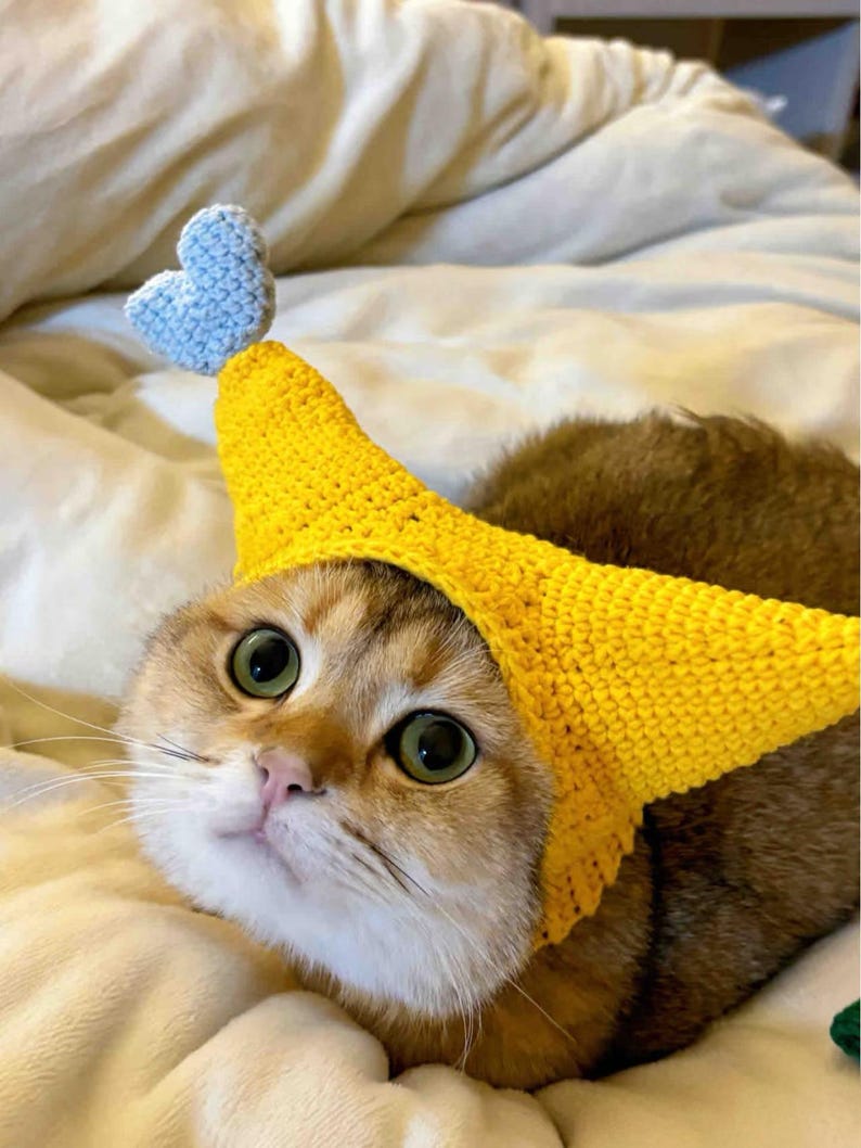 Halloween Clown Pet Costume Cat Dog Crochet Pattern | Adorable Hat ...