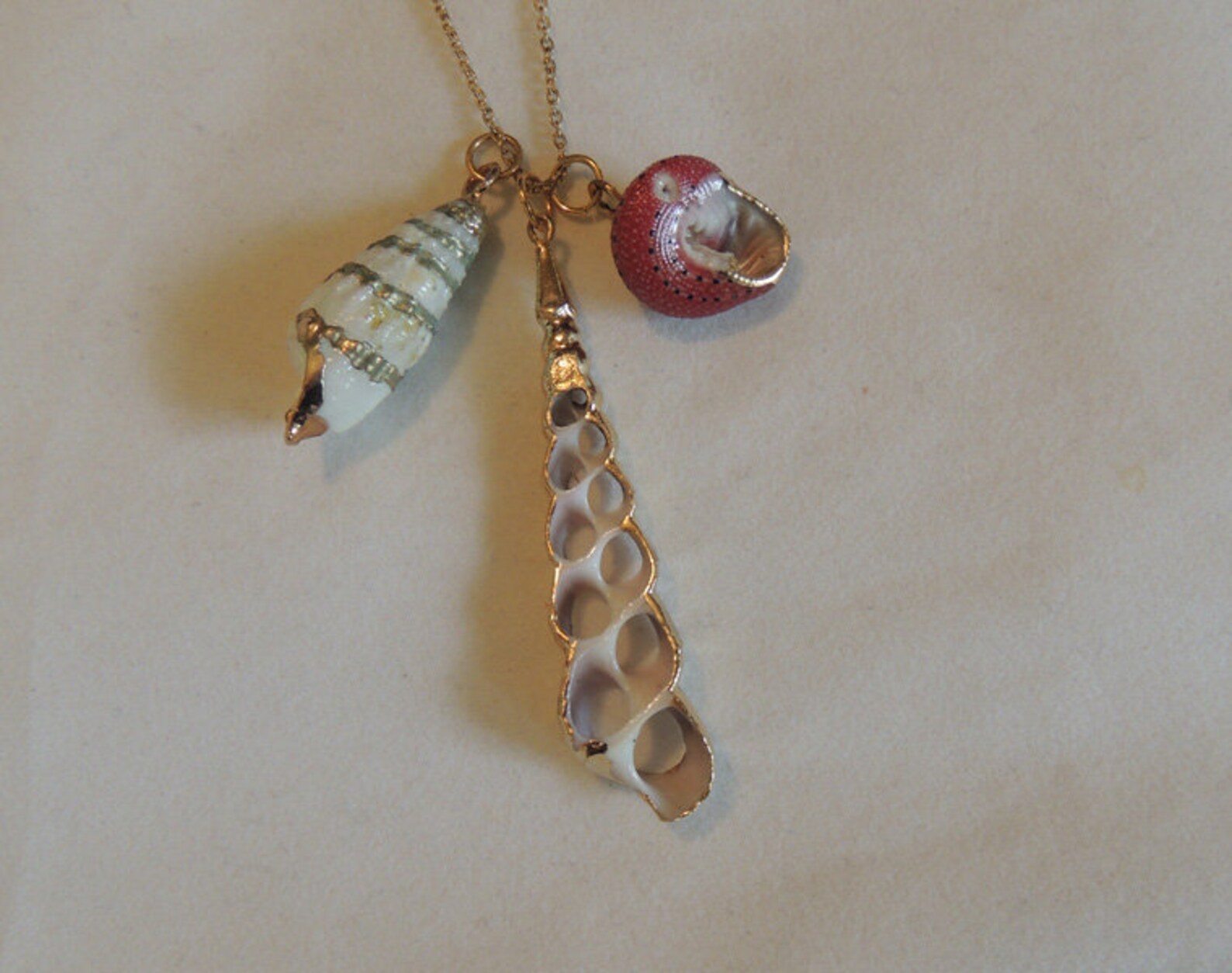 Real 3 Sea Shell Seashells Gold Gilded Pendant Necklace.. | Etsy