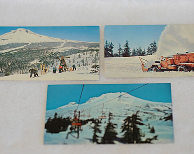 3 Vintage 1950's Unused OREGON POSTCARDS.. Ski Lift - Etsy