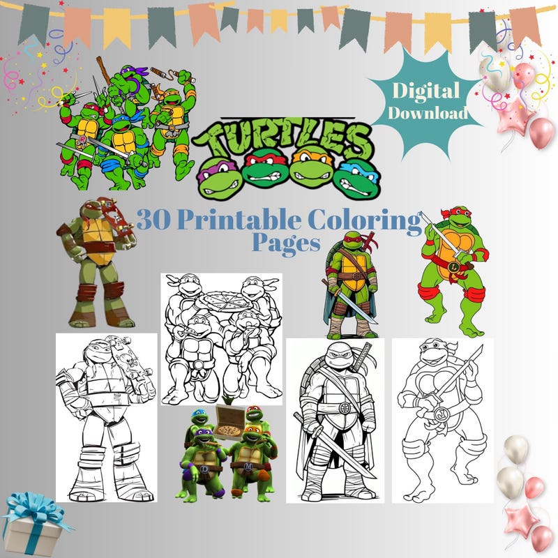 Ninja Turtles Colors - Etsy