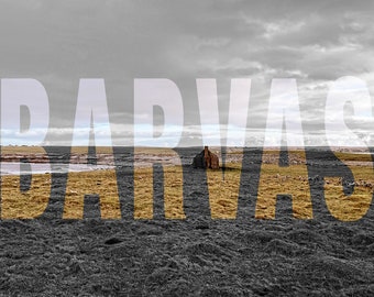 DonaldSmithGraphics | Etsy