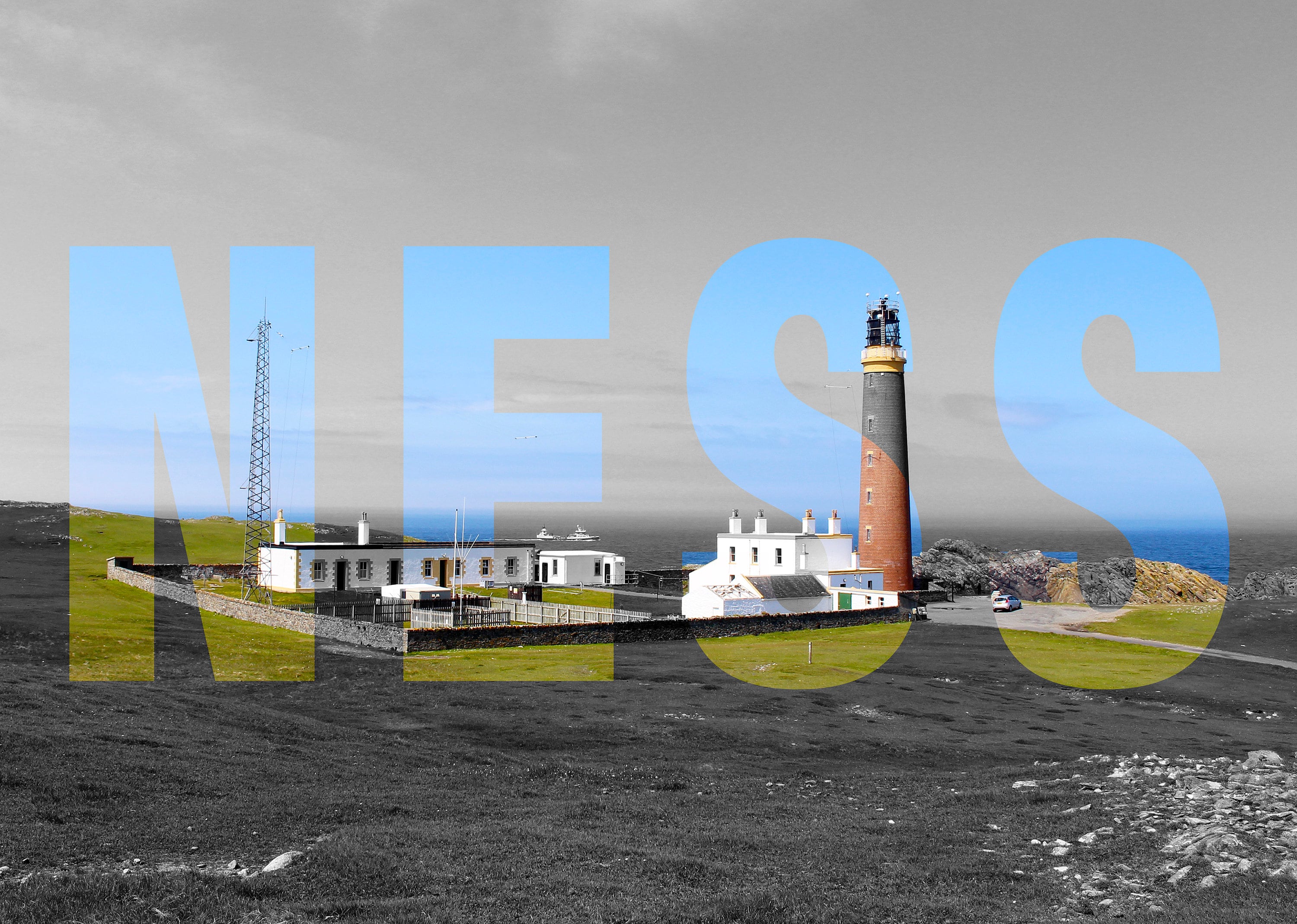 A4 'NESS' Text Print Butt of Lewis - Etsy