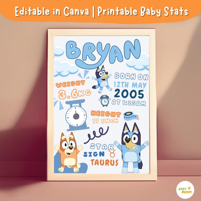 Bluey Baby Stats Poster: Editable Cartoon Nursery Art (digital Download ...