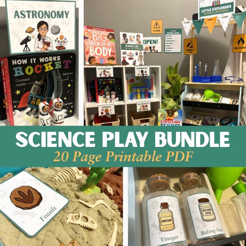 Science Lab Dramatic Play Bundle: Printable Pretend Play PDF - Etsy