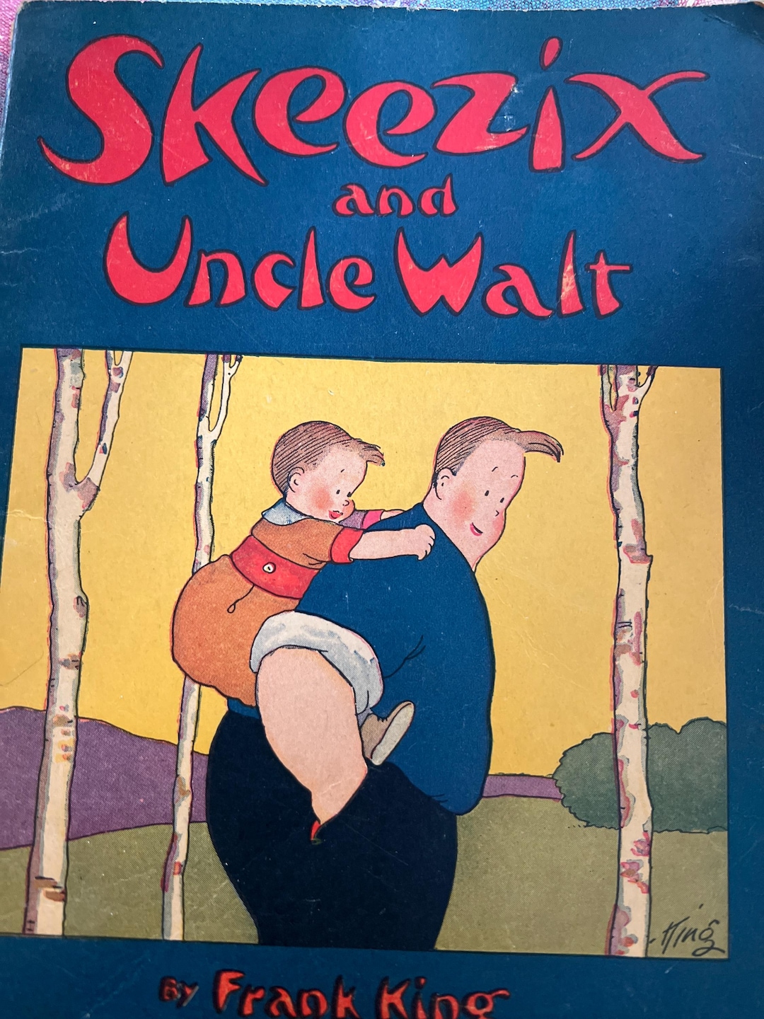 Skeezix and Uncle Walt 1924 First Edition Comic Book Story. by Frank ...