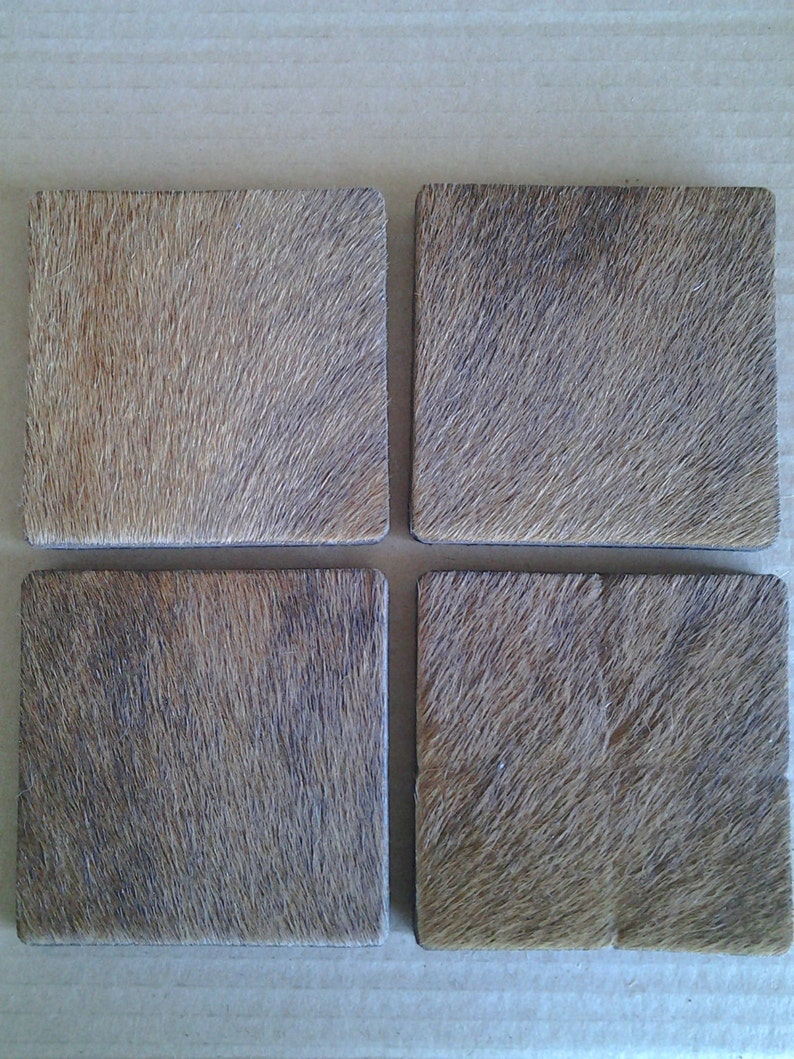 Hair on Hide Coasters - Etsy