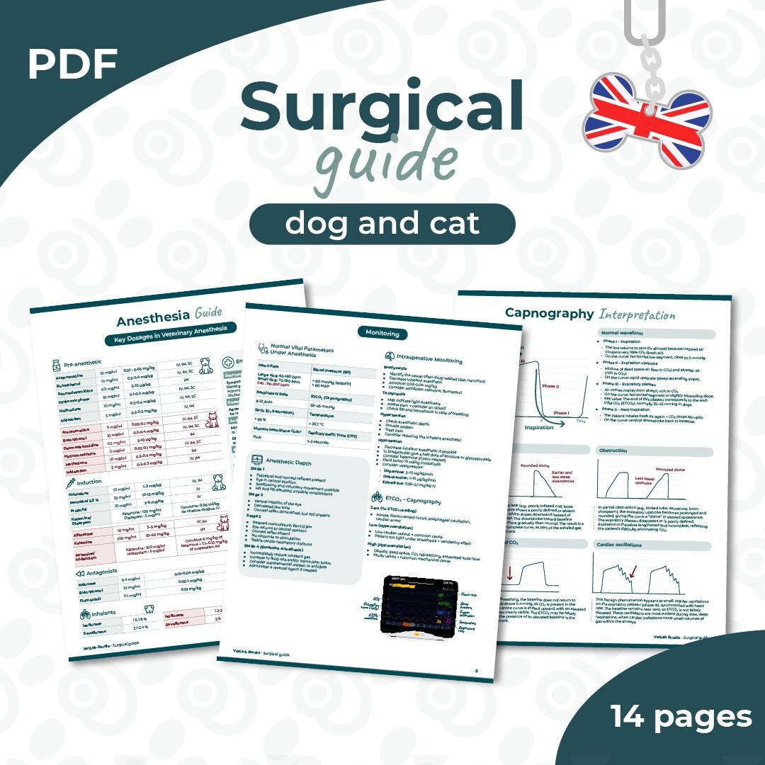Vet Tech Training - Surgery Guide (dogs and Cats) – Downloadable ...