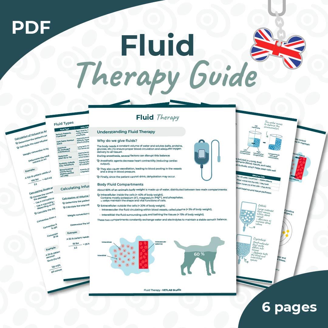 Veterinary Fluid Therapy Guide for Dogs & Cats | Printable PDF - Etsy