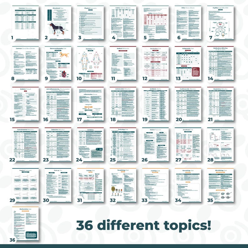 Complete Guide Med Vet | Hard Copy | VTNE Prep - Etsy