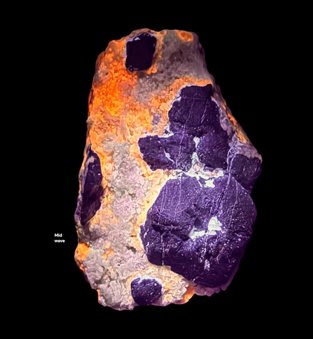 Spécimen de lazurite bleu fluorescent, minéral naturel d'Afghanistan ...