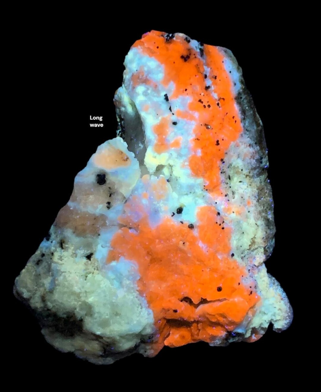 Emerald Sodalite Mineral Specimen: Fluorescent Calcite, Pyrite ...