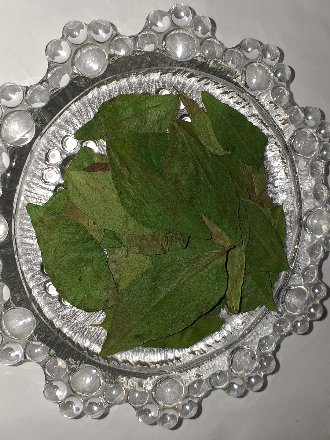 Organic (dried) Curry Leaves | Shadow Dried | 100% Natural | Handpicked ...