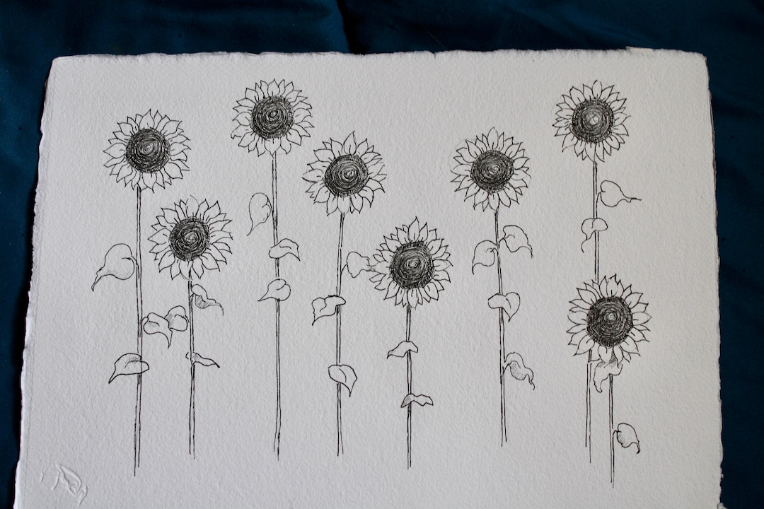 Pen and Ink, Sunflower Drawing, Original Art, Illustration, Botanical ...
