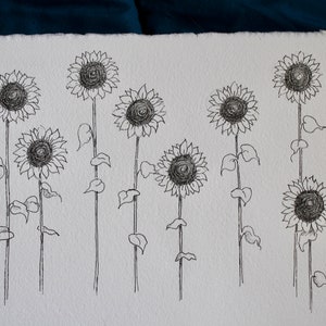 Pen and Ink, Sunflower Drawing, Original Art, Illustration, Botanical ...