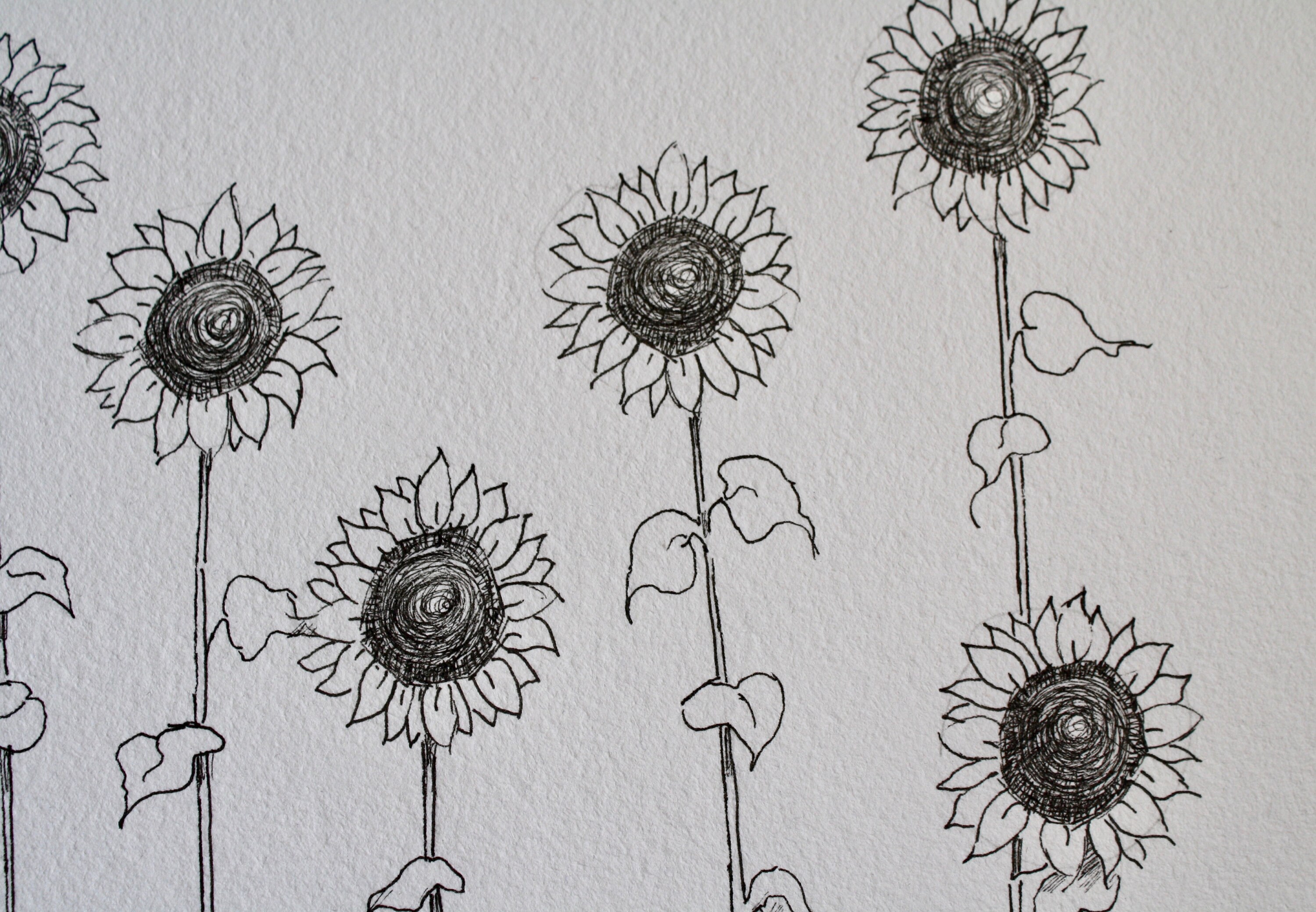 Pen and Ink, Sunflower Drawing, Original Art, Illustration, Botanical ...