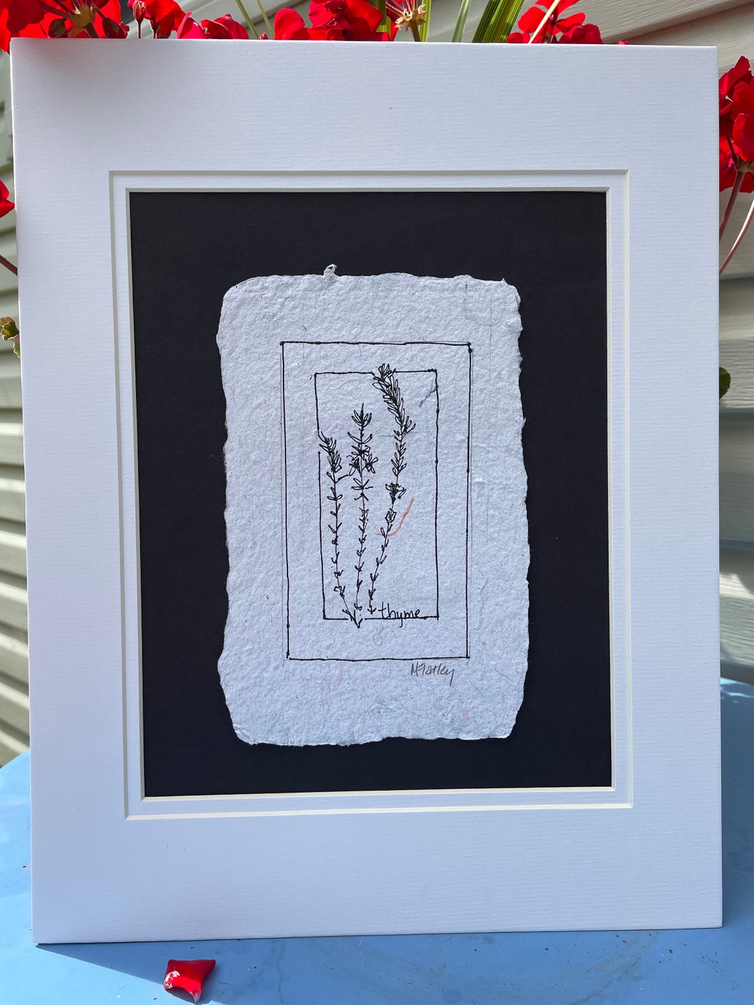 Pen and Ink Drawing, Original Art Work, Illustration, Botanical Print ...