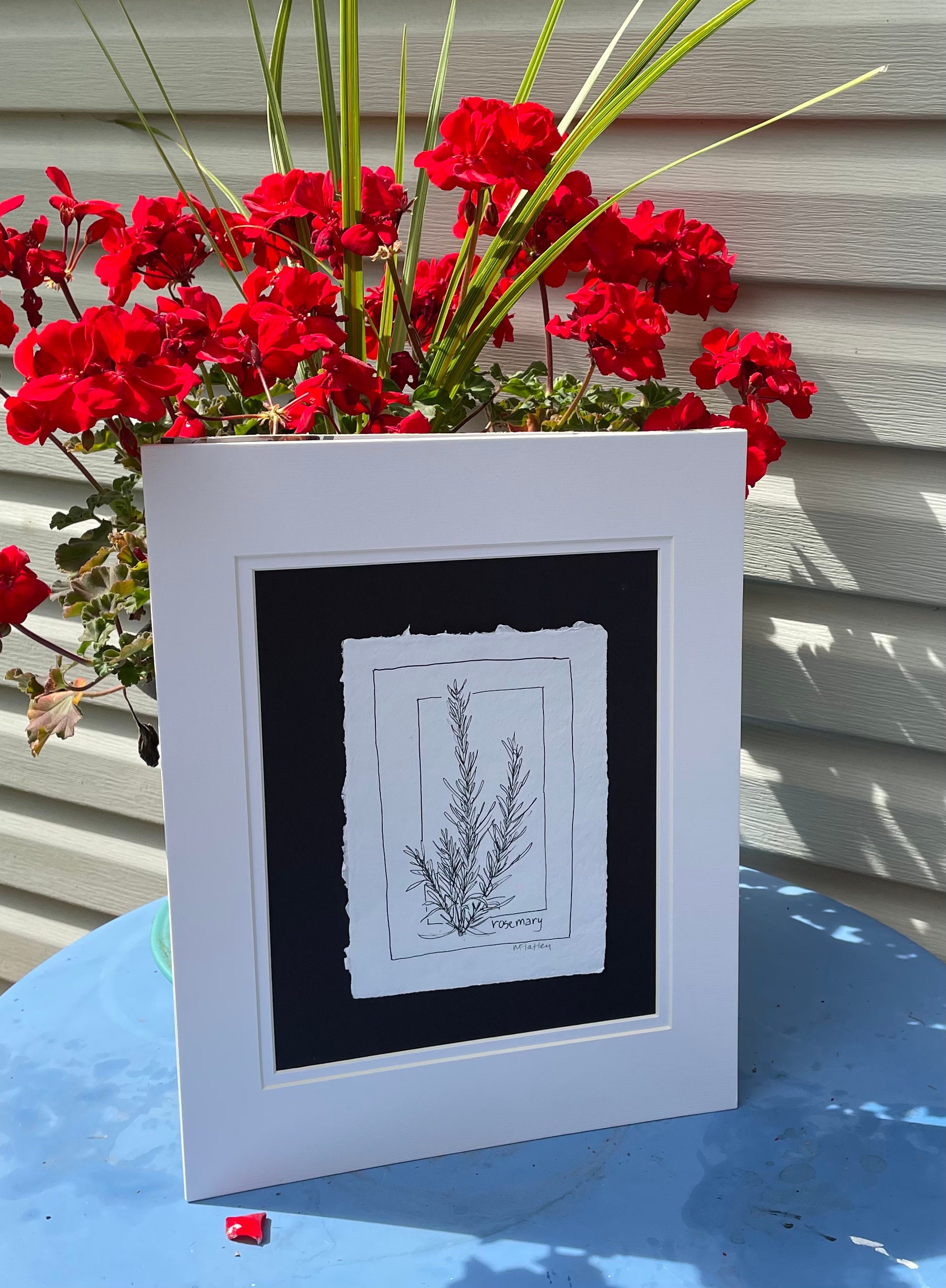 Pen and Ink Drawing, Original Art Work, Illustration, Botanical Print ...