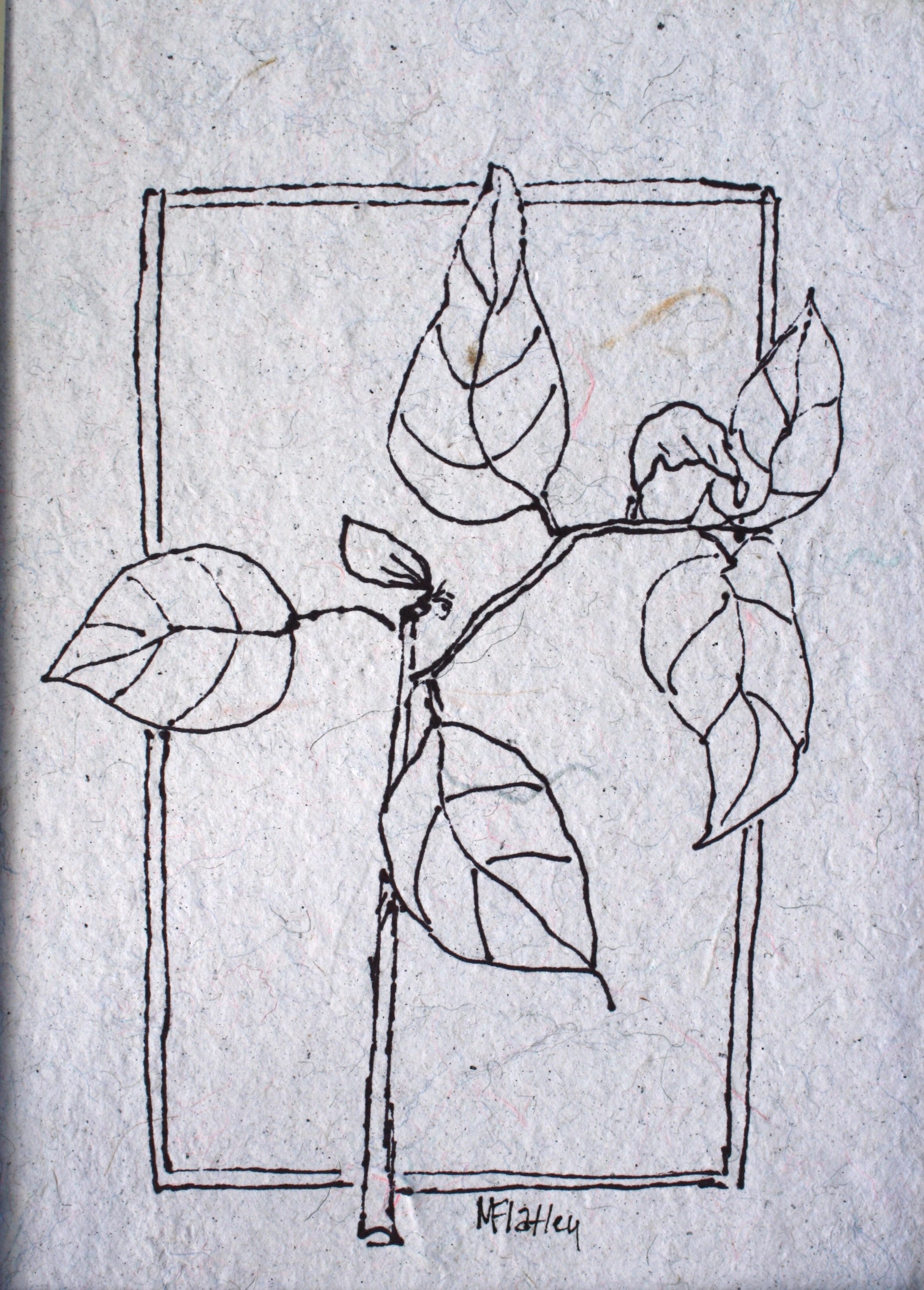 Simple Ink Illustrations