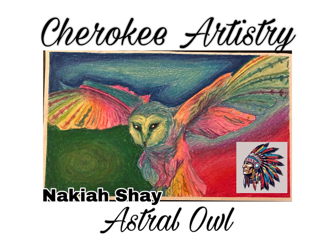 Owl Painting Oil Pastel Owl Decor Native American Cherokee Drawing ...