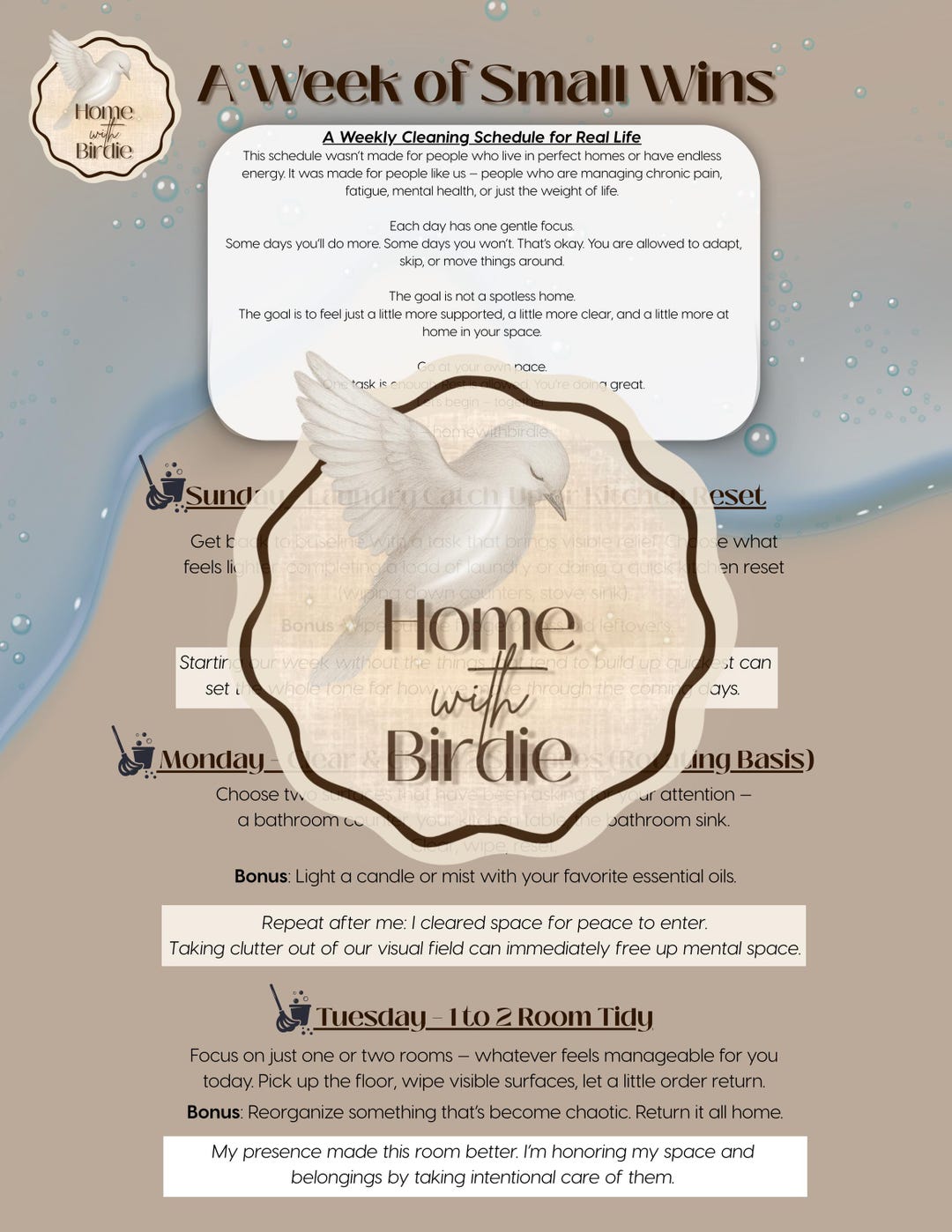 Total Cleaning System Tailored to ADHD, Neurodivergent, Disabled, Tired ...