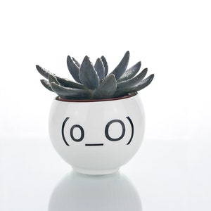 Planter With Face, Minimalist Plant Pot With Funny Emoticons - Etsy