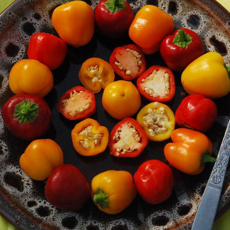 Mexi-mini Mix Sweet Bells - Etsy