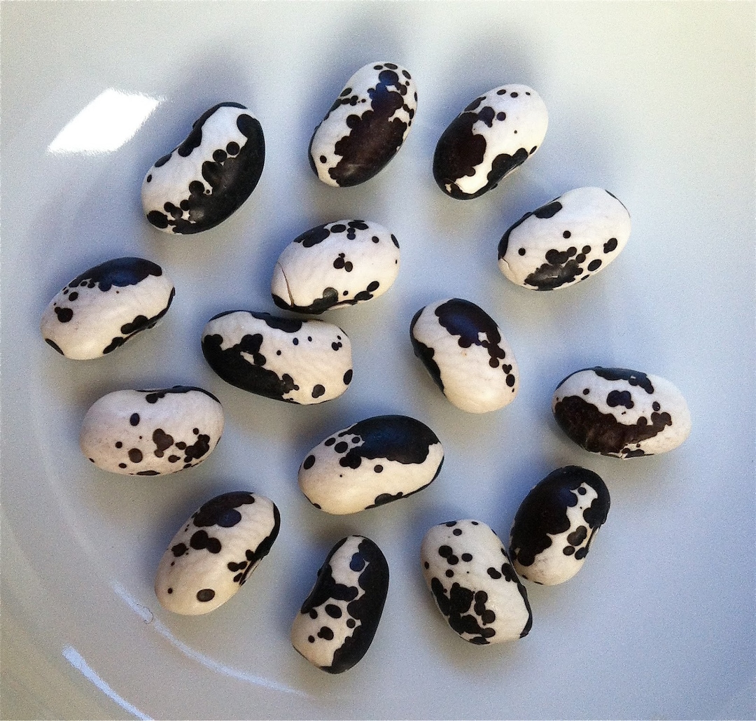 Calypso Ying-yang Beans - Etsy