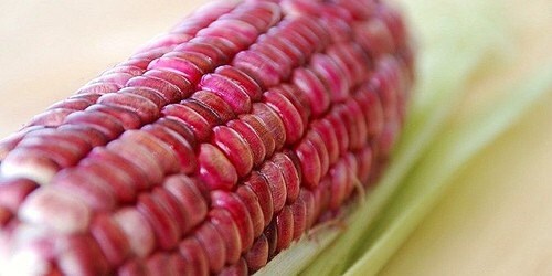 BACK AGAIN! Puzzling Pink Corn - Etsy