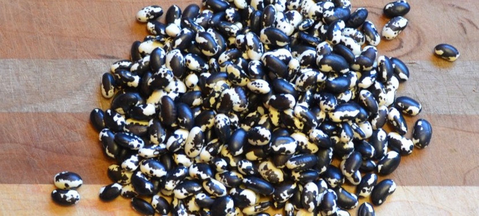Calypso Ying-yang Beans - Etsy