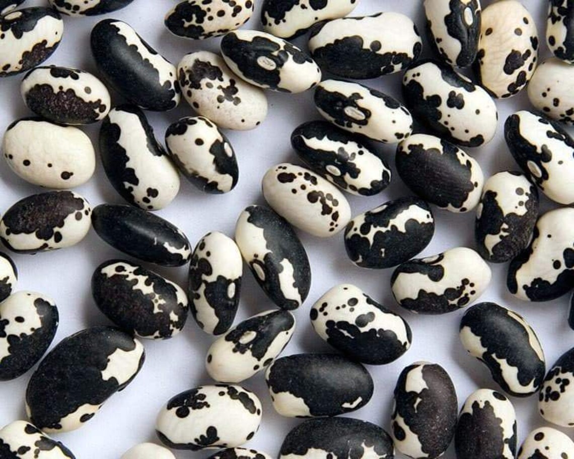 Calypso Ying-yang Beans - Etsy