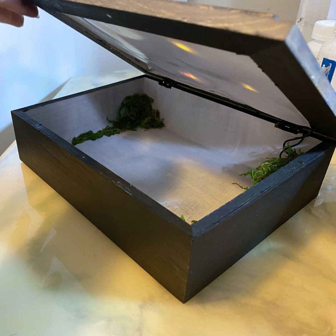 Forest Floor Trinket Box With Led's and Squirrel - Etsy