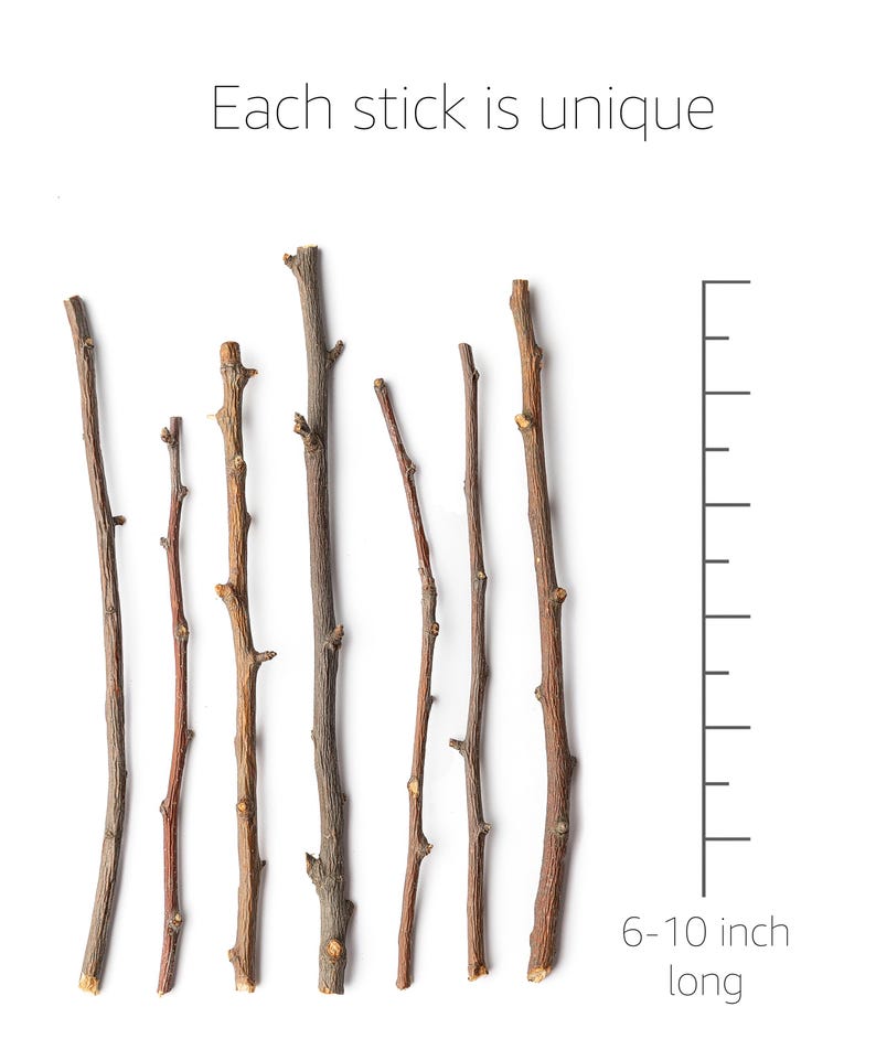Apple Wood Chew Sticks for Rabbits, Guinea Pigs, Hamsters, Chinchillas ...