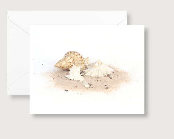 Shells and Sand Note Cards/beach Note Cards/shell Notes/sand | Etsy