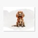 Cocker Spaniel Watercolor Illustration Note Cards Set/10 Notecards - Etsy