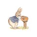 Peter Rabbit Style Note Cards/peter Rabbit at Mailbox/10 Note Set - Etsy