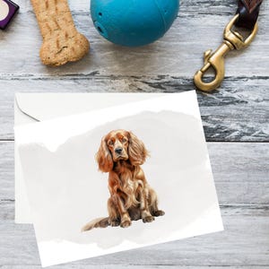Cocker Spaniel Watercolor Illustration Note Cards Set/10 Notecards - Etsy
