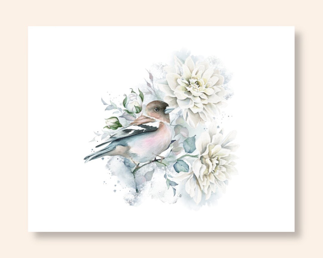 Spring Bluebird Note Cards/bluebird Notes/set of 10 Notes - Etsy