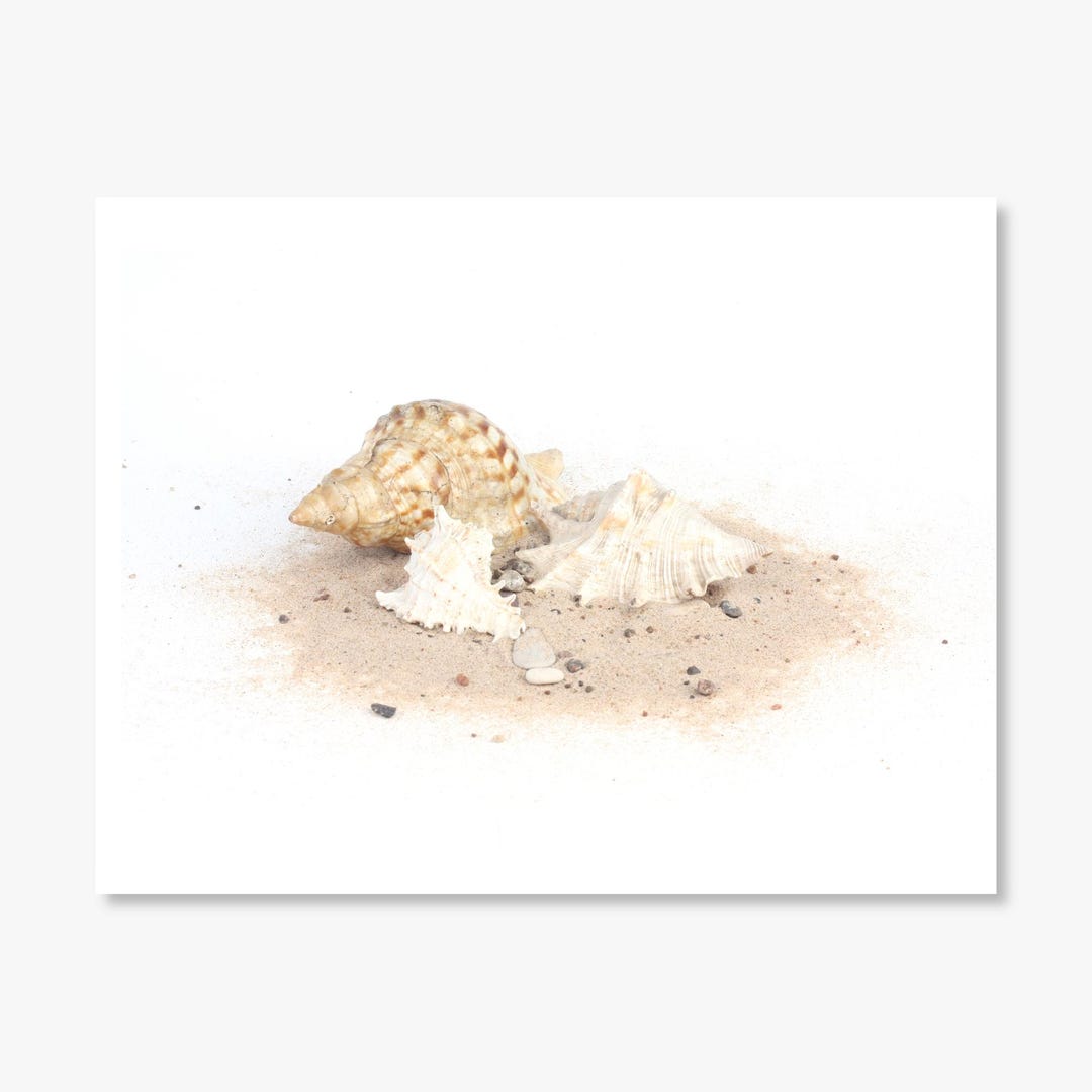 Shells and Sand Note Cards/beach Note Cards/set of 10 Notes - Etsy