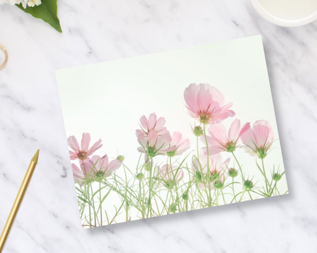 Watercolor Cosmos Flower Note Cards, Feminine Floral Notes, 10 to a Set ...