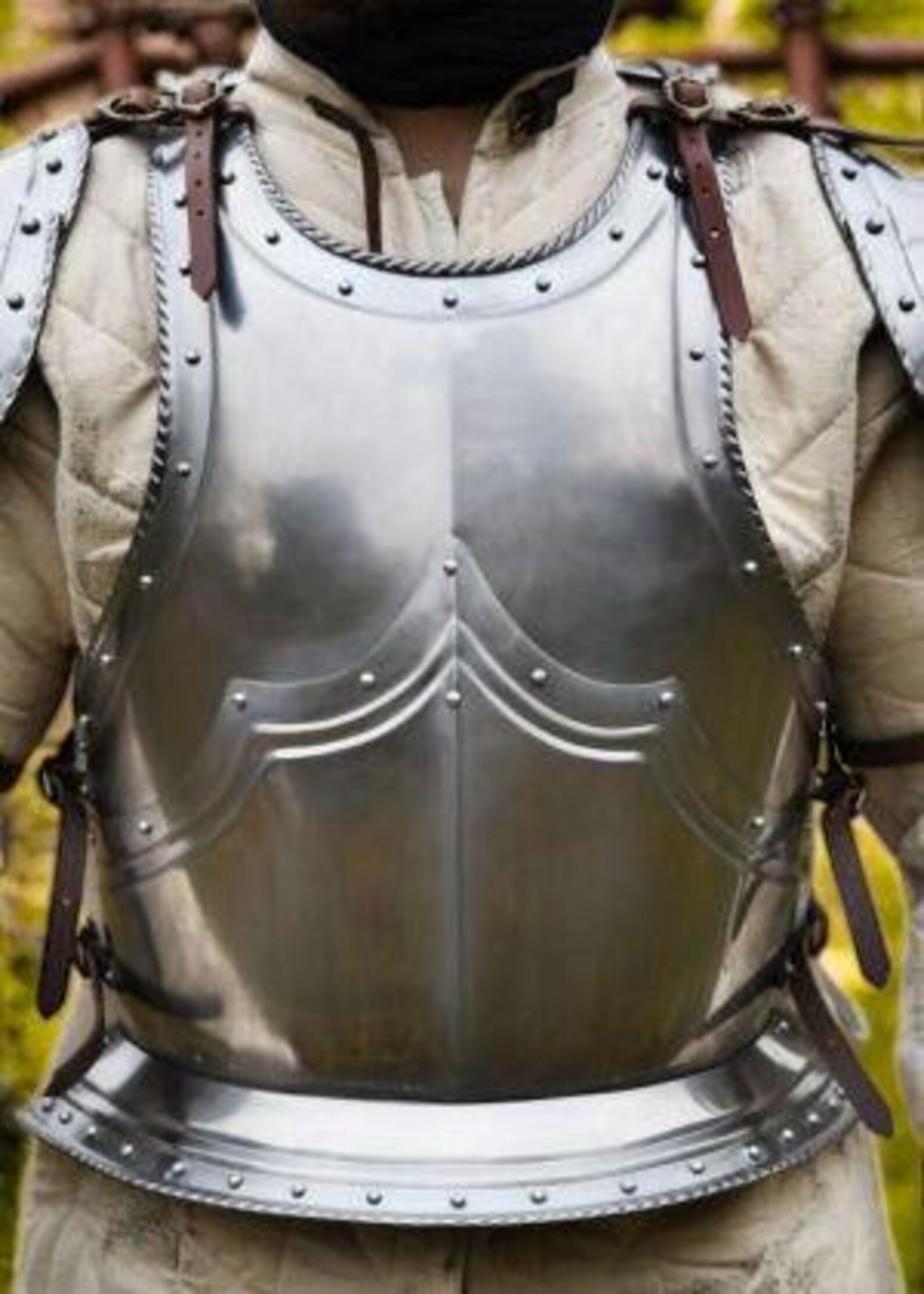 Gothic Torso and Back Plate Medieval Breastplate and Arms Armour ...