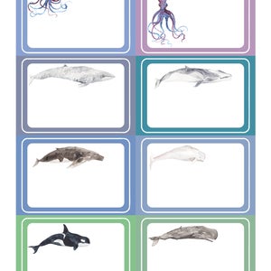 Watercolor Ocean, Dolphins, Jellyfish, Sea Turtles + More! (INSTANT ...