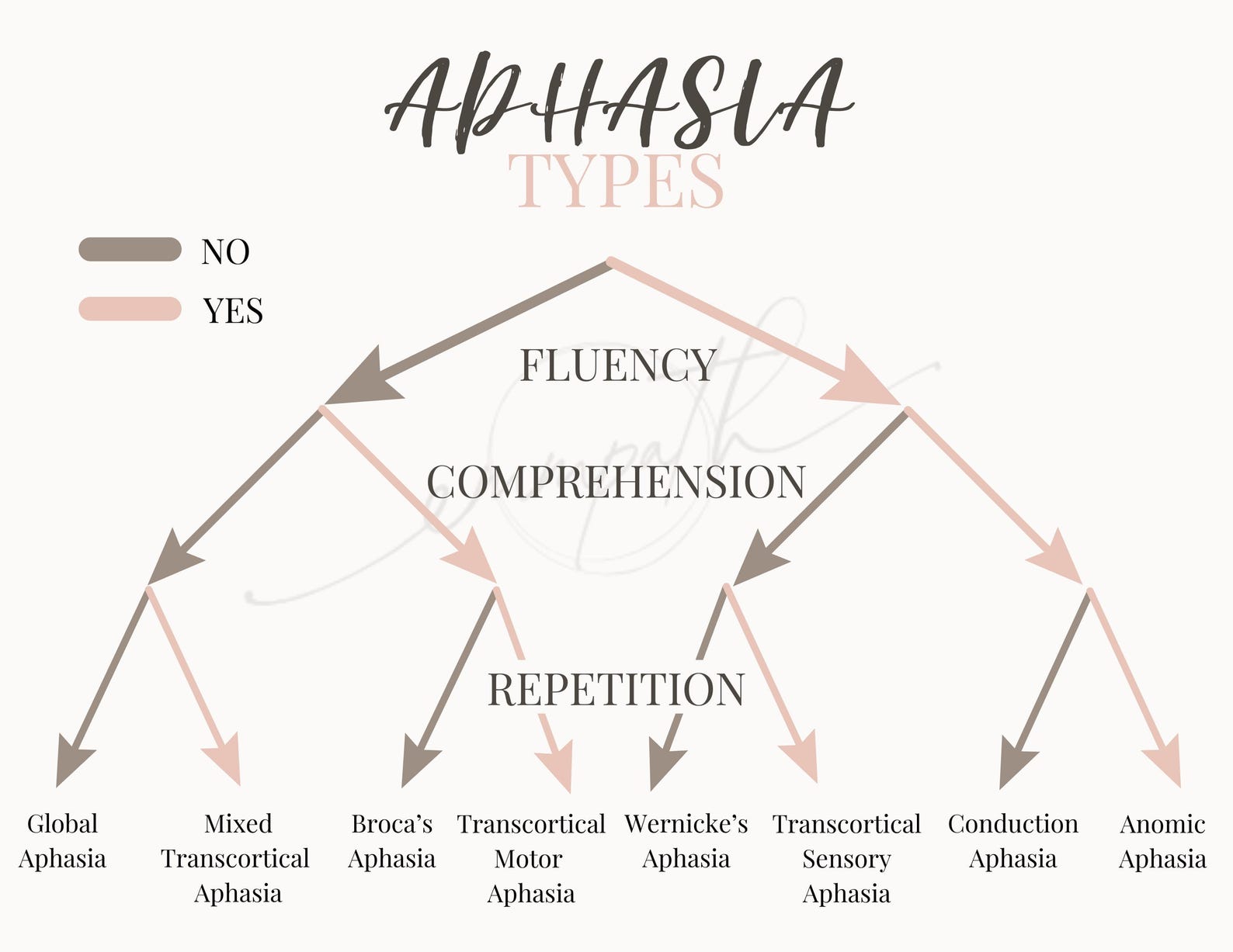 Aphasia Classification Chart: SLP Study Guide & Clinical Resource (PDF ...