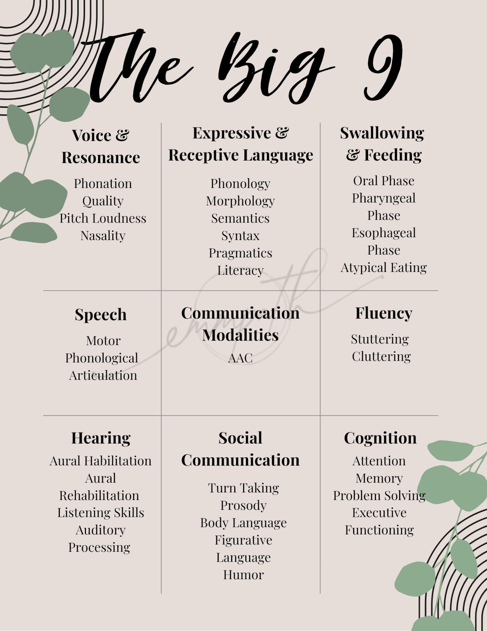 SLP Big 9 Study Chart: Speech-language Pathology ASHA Scope (PDF ...